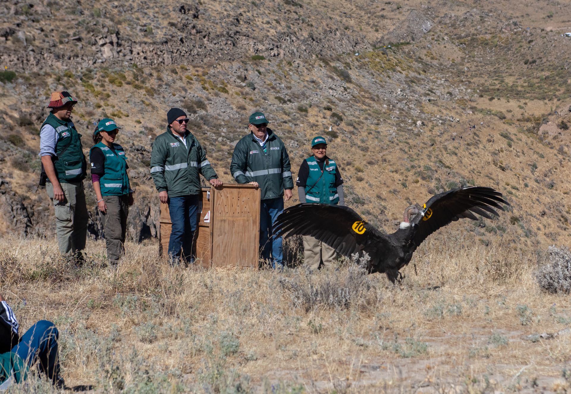 Valle del Colca | Autocolca
